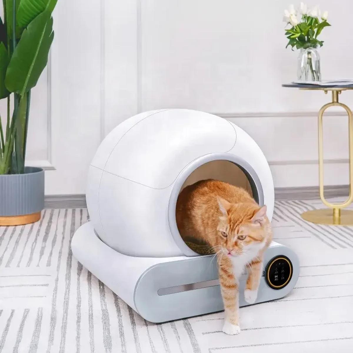 Design Self-Cleaning Cat Litter Box - Pets - by MateMate | Pietra
